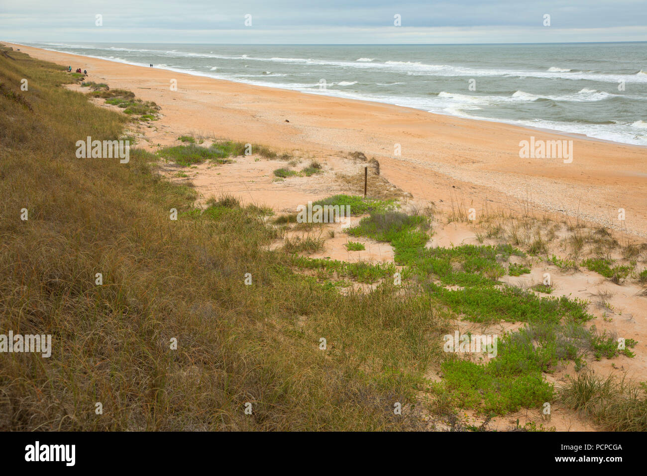 Open beach, Guana Tolomato Matanzas National Estuarine Research Reserve ...