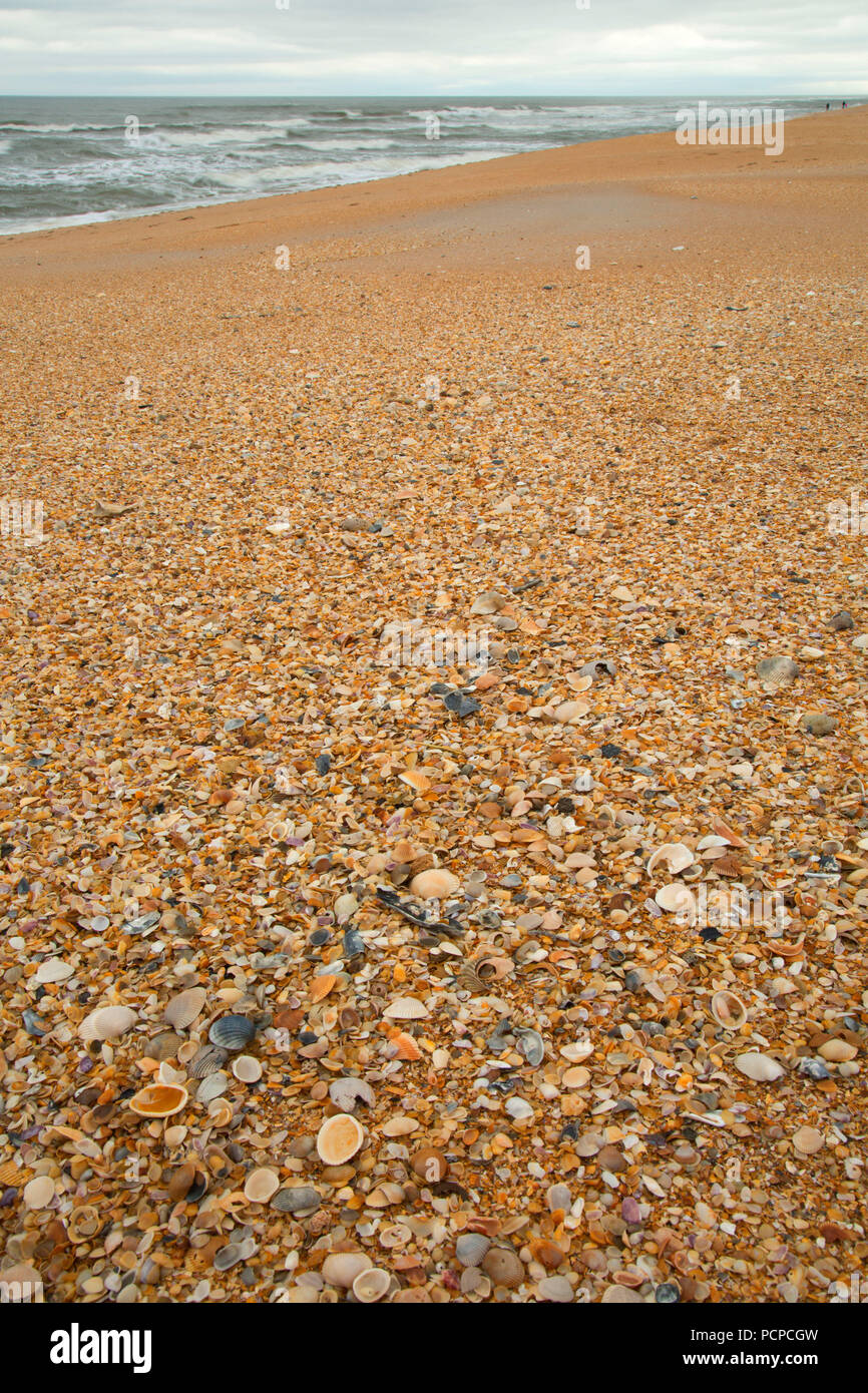 Open beach, Guana Tolomato Matanzas National Estuarine Research Reserve ...