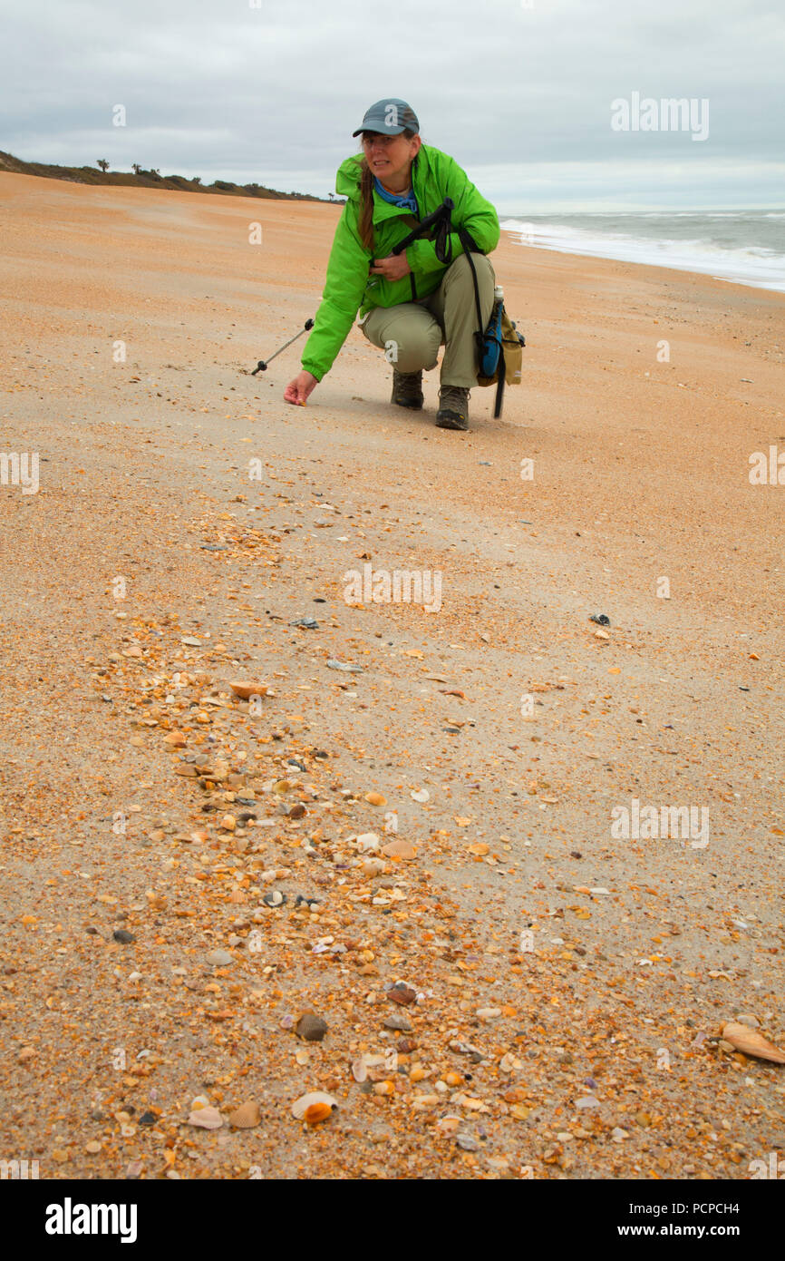 Open beach, Guana Tolomato Matanzas National Estuarine Research Reserve ...