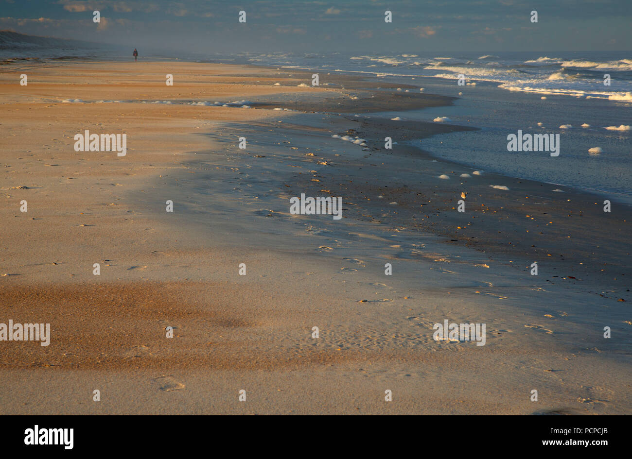 Open beach, Anastasia State Park, Florida Stock Photo - Alamy