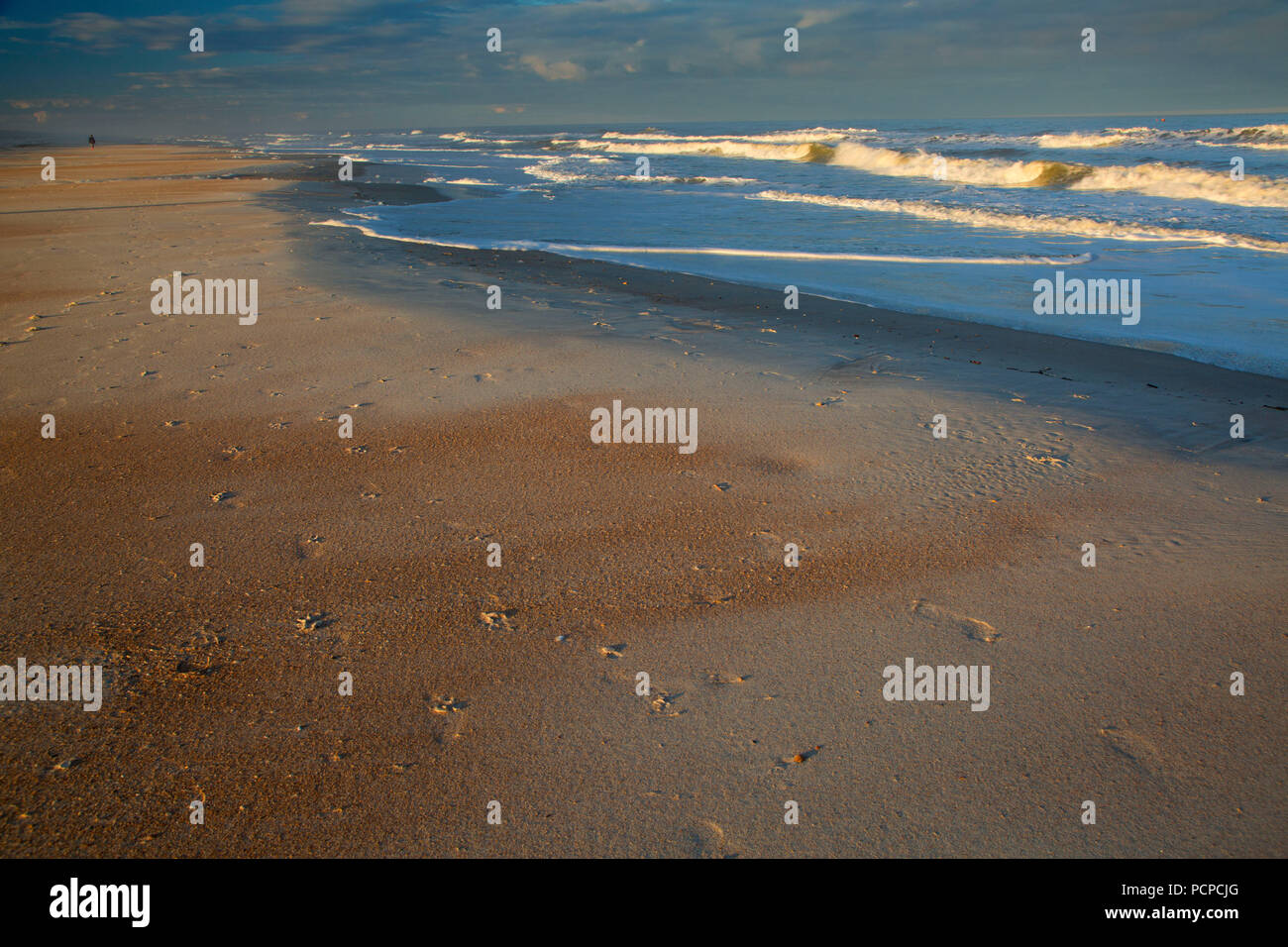 Open beach, Anastasia State Park, Florida Stock Photo - Alamy