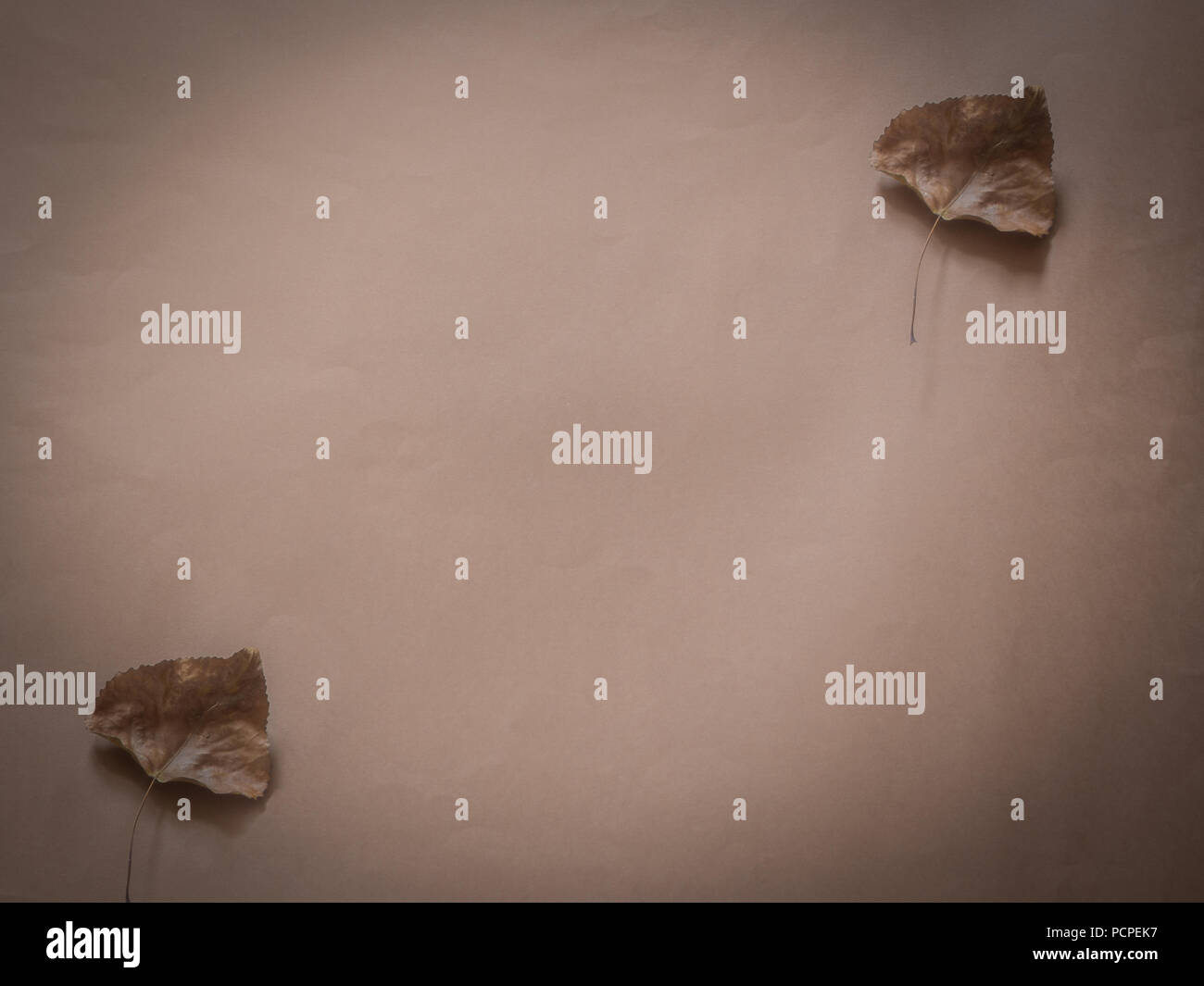 Brown fall background Stock Photo - Alamy