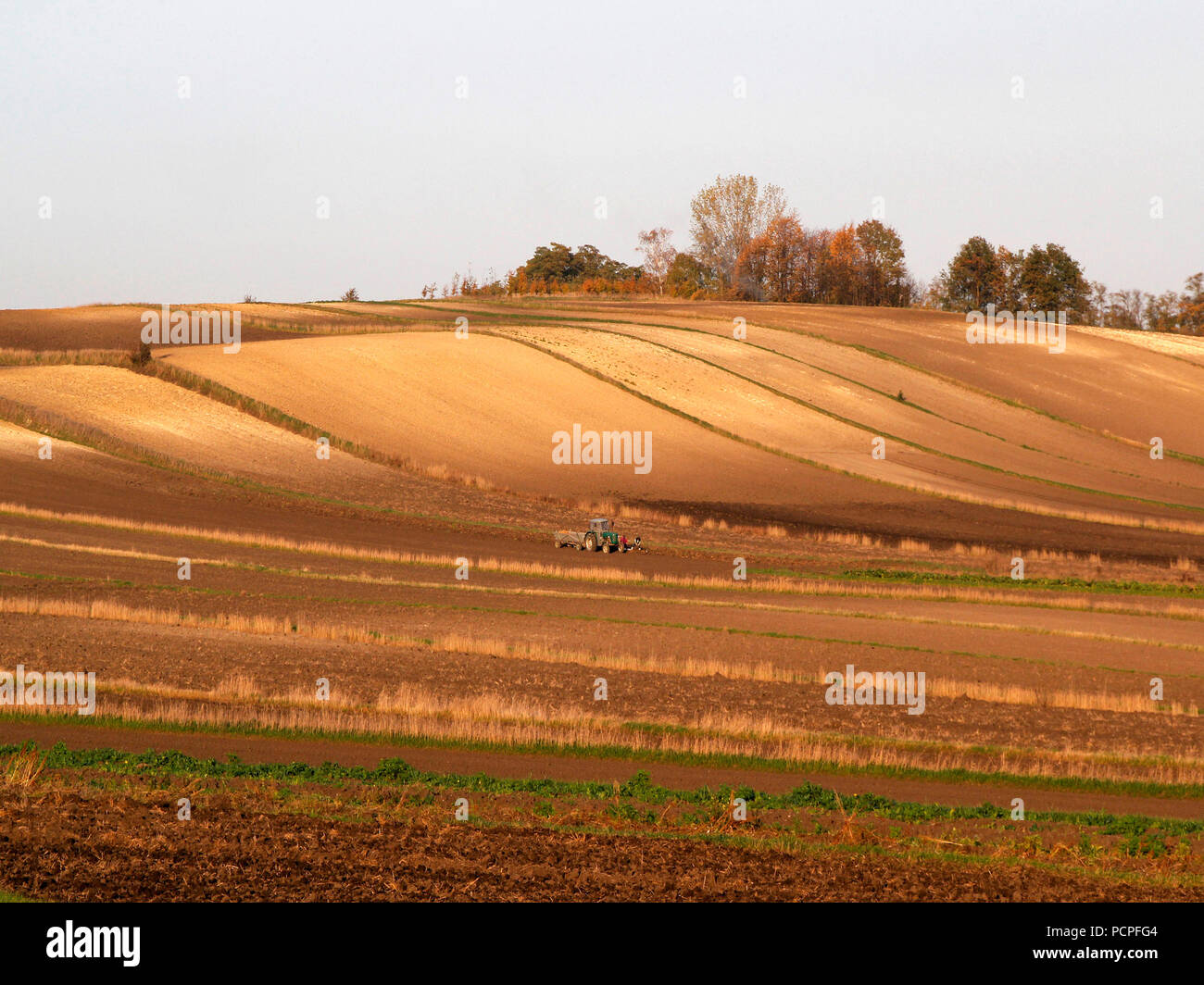 Agriculture in Lasser Poland Stock Photo - Alamy