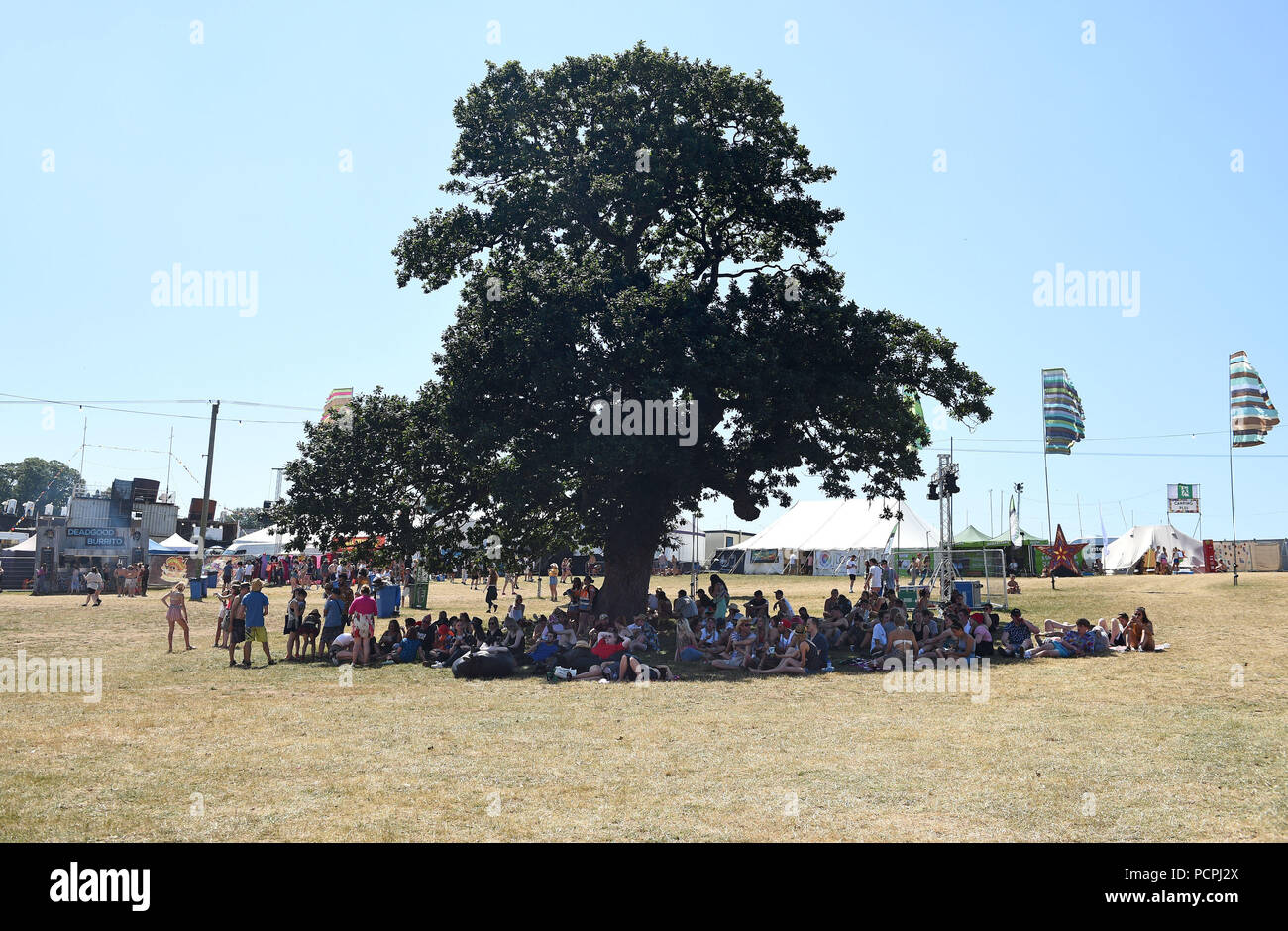 Festival-goers shade under a tree at the Lulworth Estate in Dorset on ...