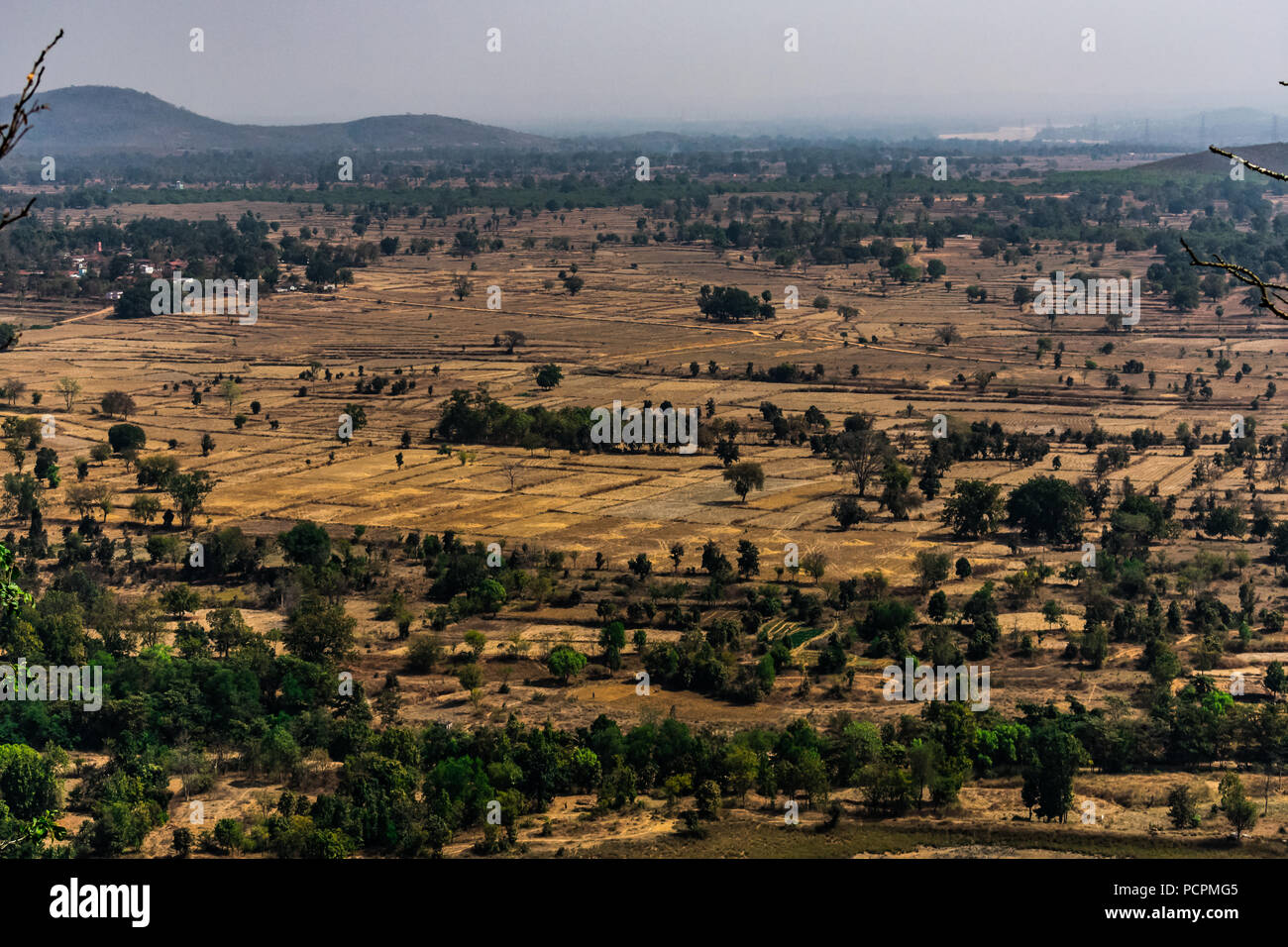Rices fields hi-res stock photography and images - Alamy