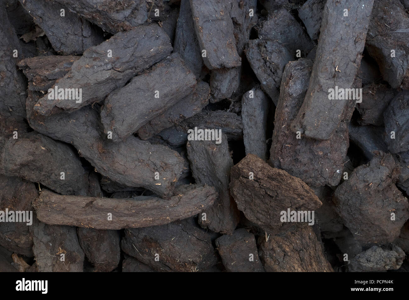 Peat Sedimentary Rock