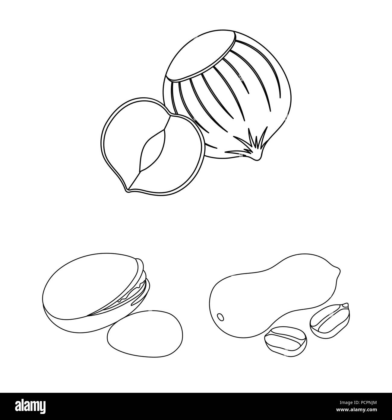 Different kinds of nuts outline icons in set collection for design.Nut ...