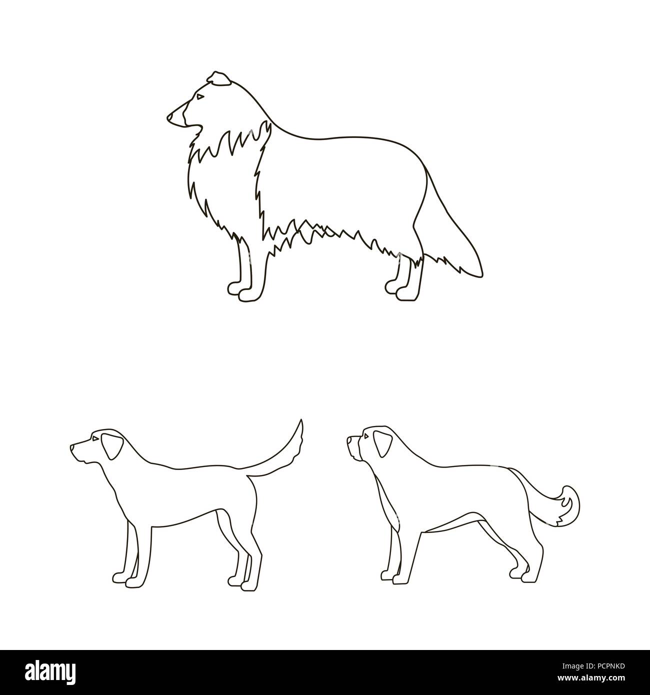 Dog breeds outline icons in set collection for design.Dog pet vector ...