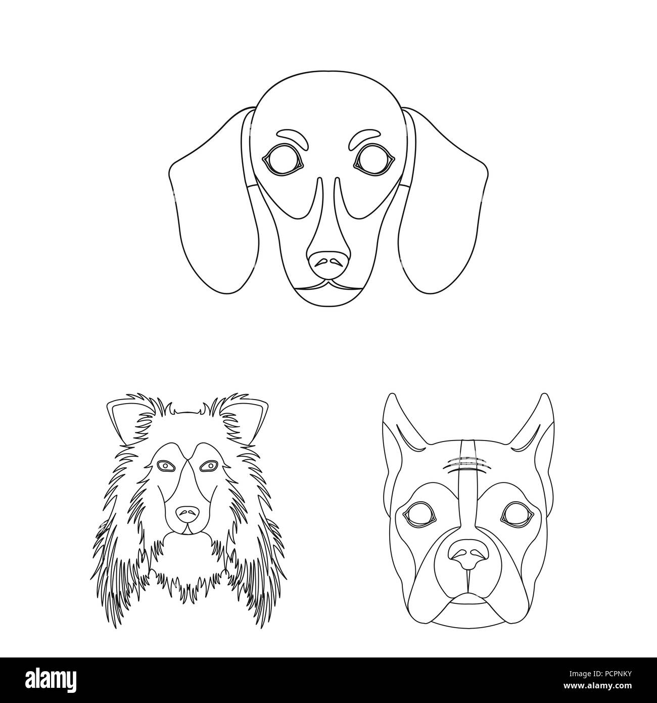 Dog breeds outline icons in set collection for design.Muzzle of a dog ...