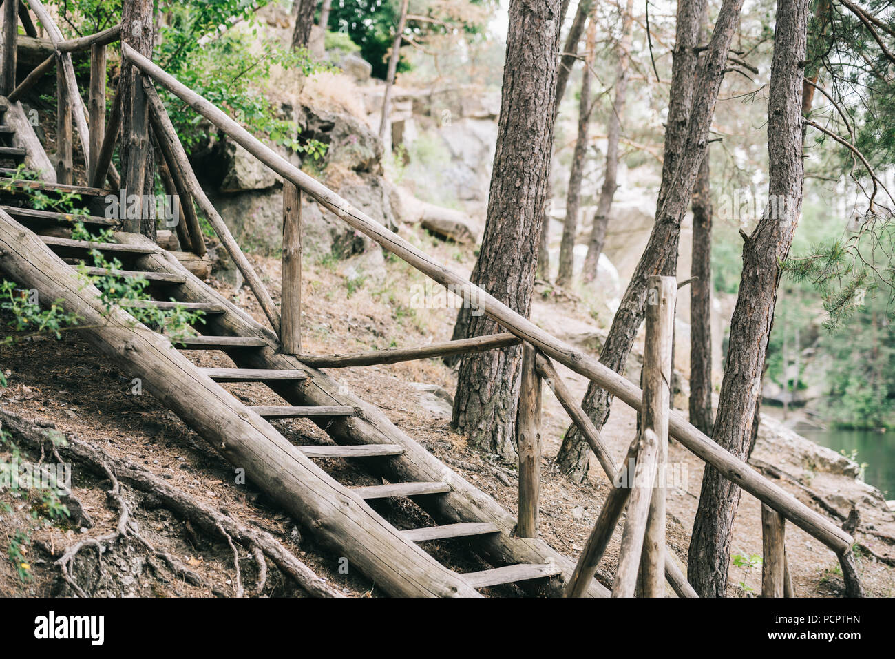 Staircase in the forest hi-res stock photography and images - Alamy