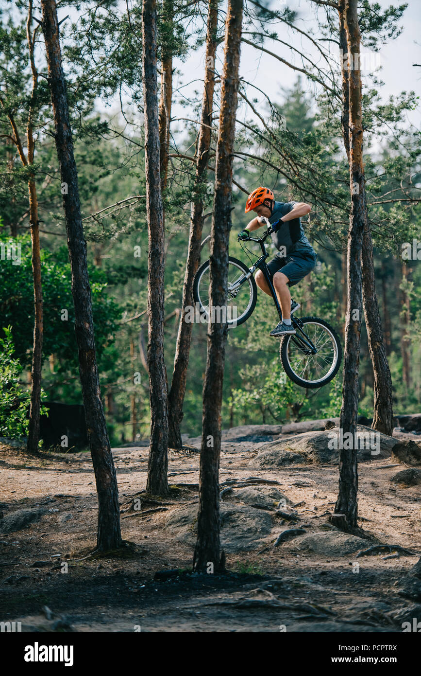 young trial biker jumping on bicycle at pine forest Stock Photo - Alamy