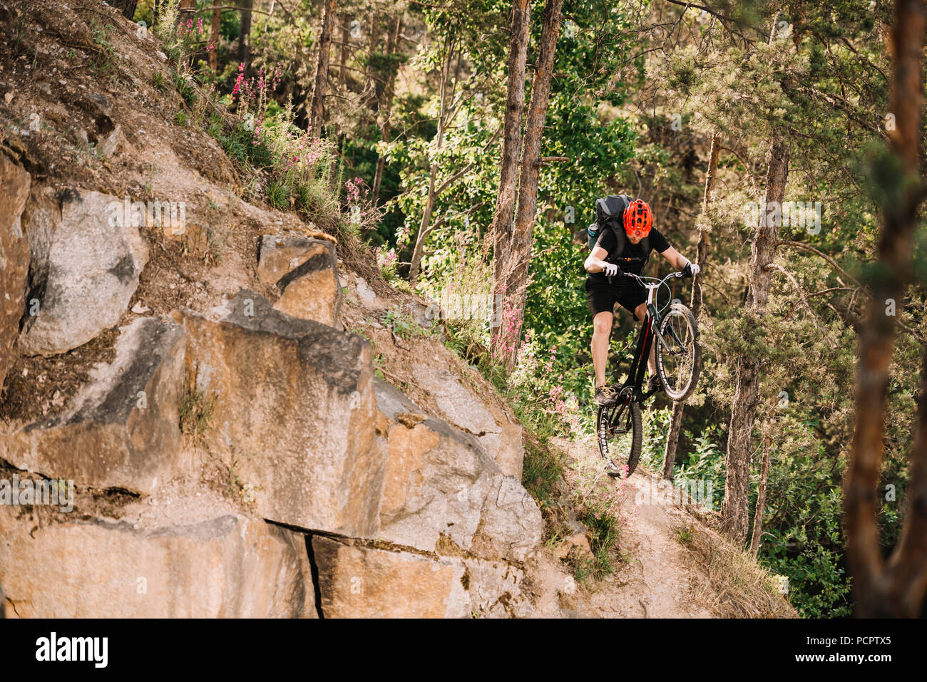 trial biker riding downhill outdoors in pine forest Stock Photo - Alamy