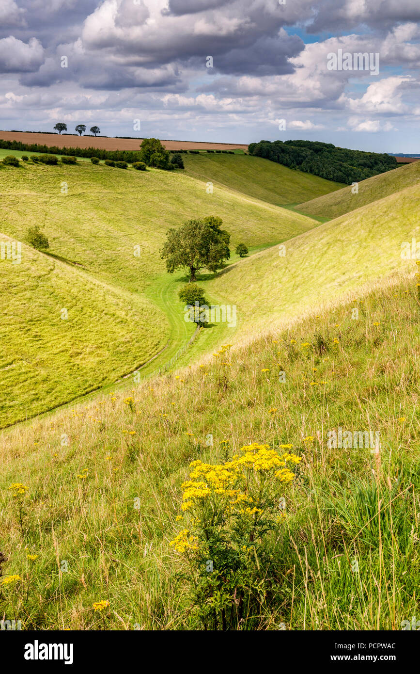 Horsedale on the Yorkshire Wolds Stock Photo - Alamy