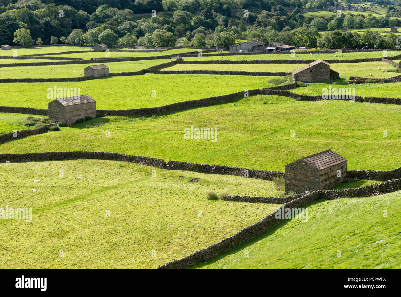 The barns at Gunnerside in Swaledale Stock Photo - Alamy