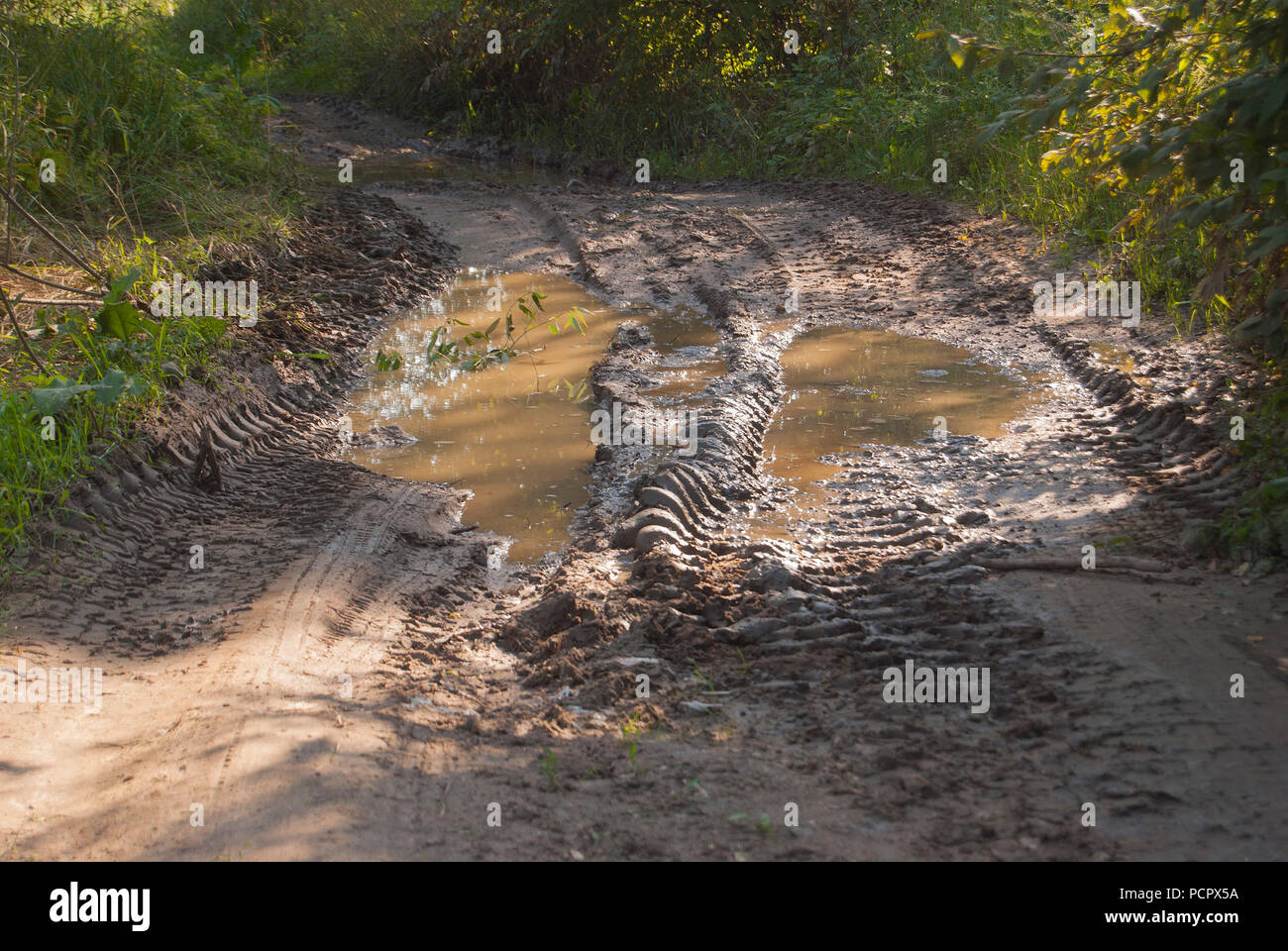 Deep ruts on the road filled with water. Difficultly passable dirty ...