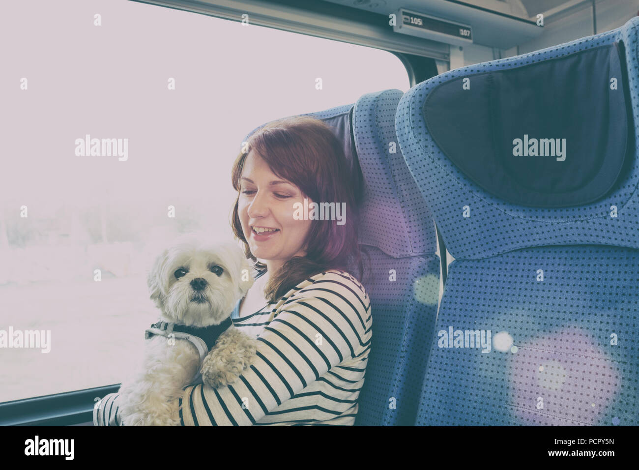 Dog traveling by train with his owner Stock Photo - Alamy