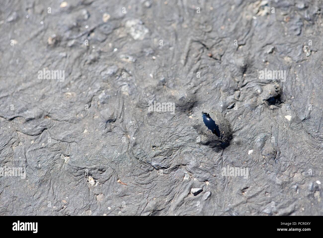 Heatwave: rising temperatures melt the tar macadam surface of the road ...