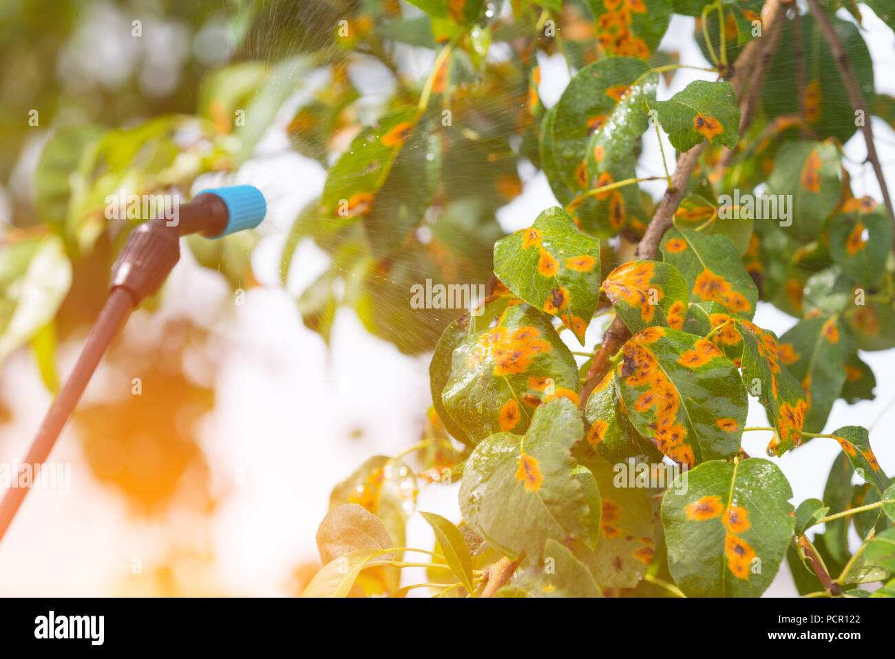 Herbicide water hi-res stock photography and images - Alamy