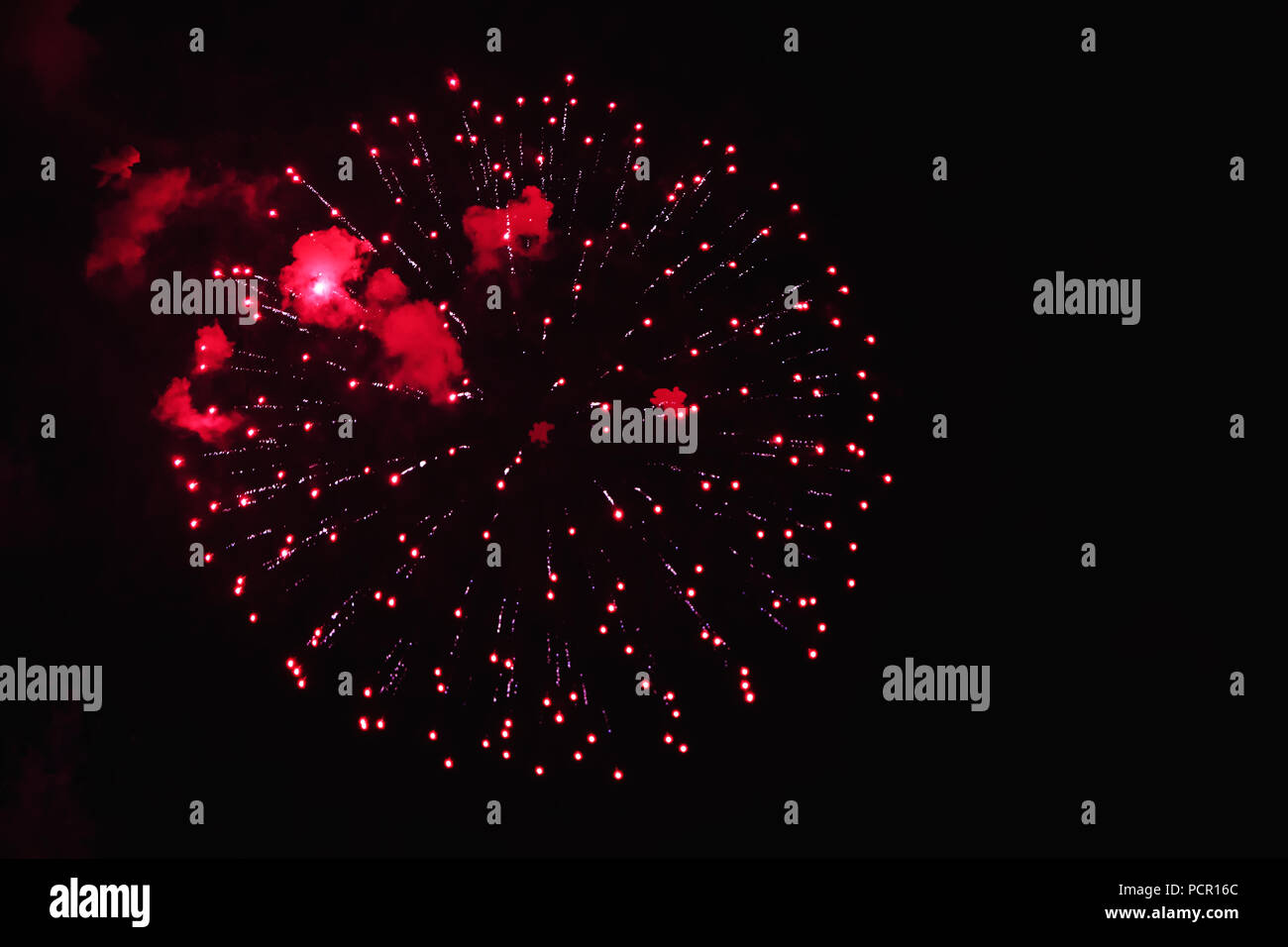 Beautiful fireworks red flowers on the night sky. Brightly fireworks on ...