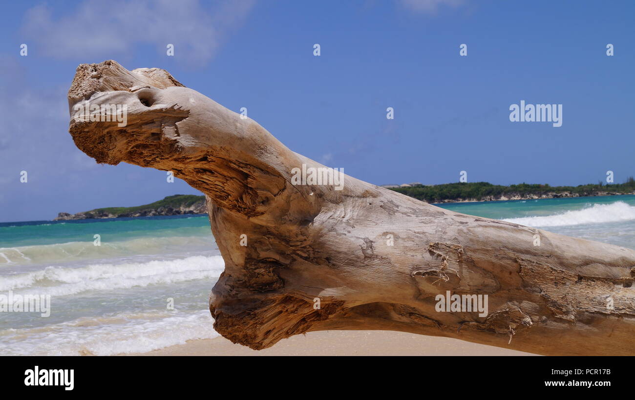 Waves on sandy caribbean sea hi-res stock photography and images - Alamy