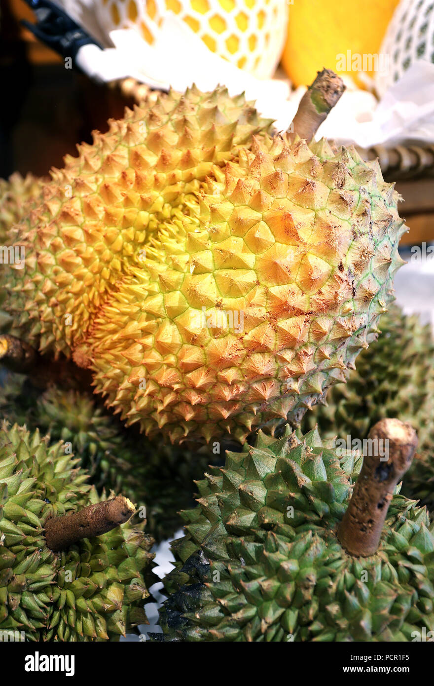 Rind durian hi-res stock photography and images - Alamy