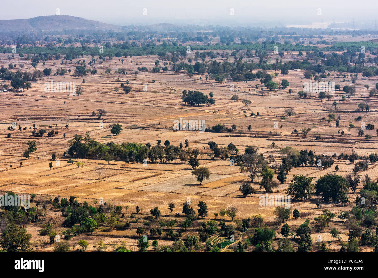 Indian farm fields and trees top aerial view from the hills / mountain ...