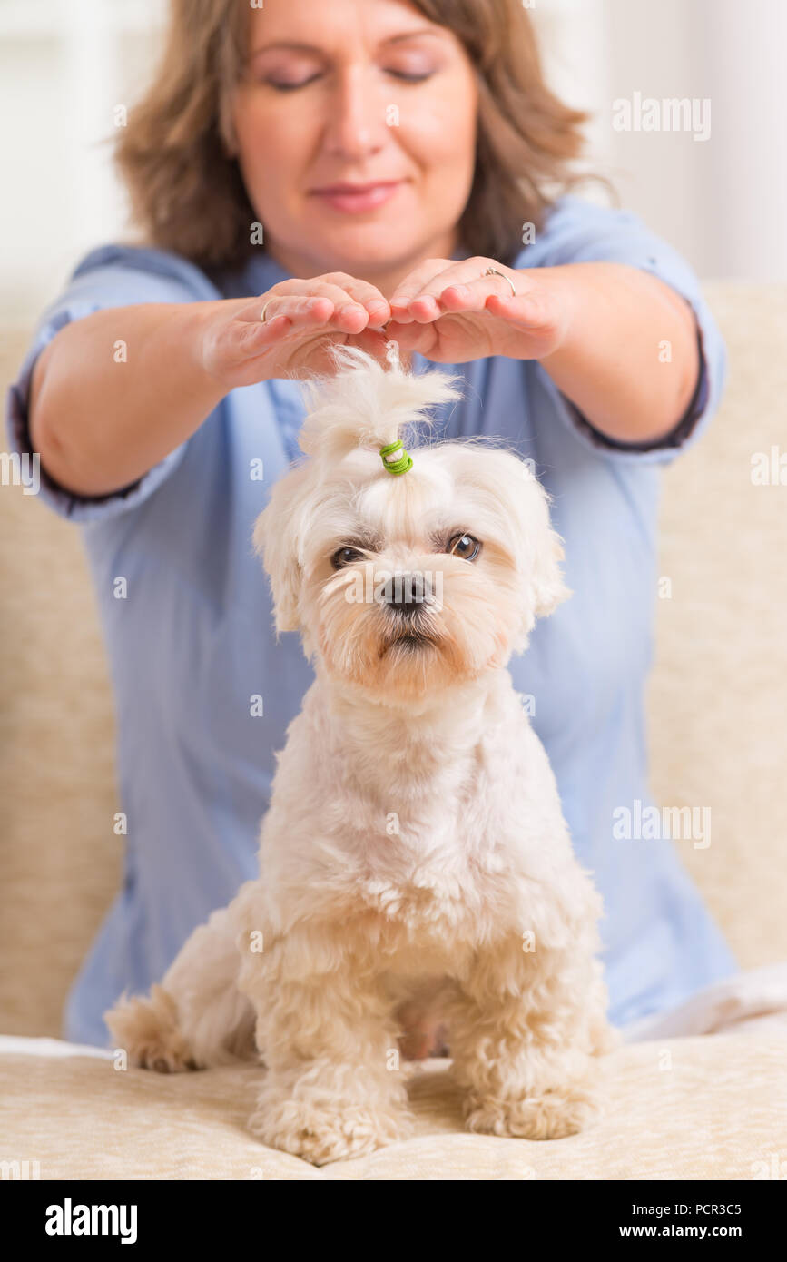 Biofield hi-res stock photography and images - Alamy