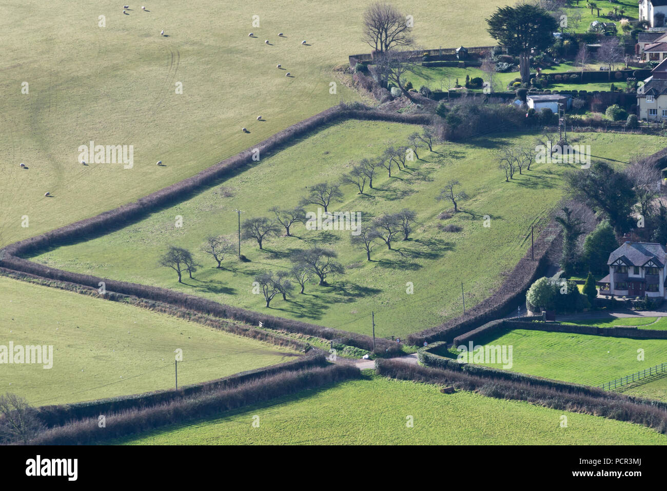 A bright winters day view across open fields from Bossington Hill in ...