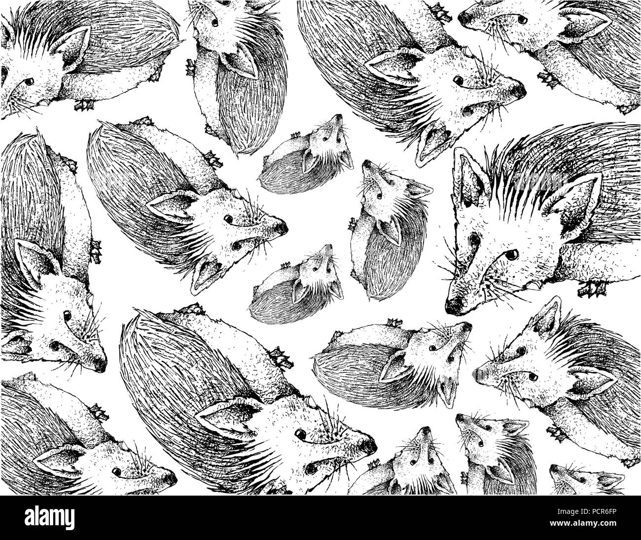 Autumn Animal, Illustration Wallpaper Background of Hand Drawn of ...