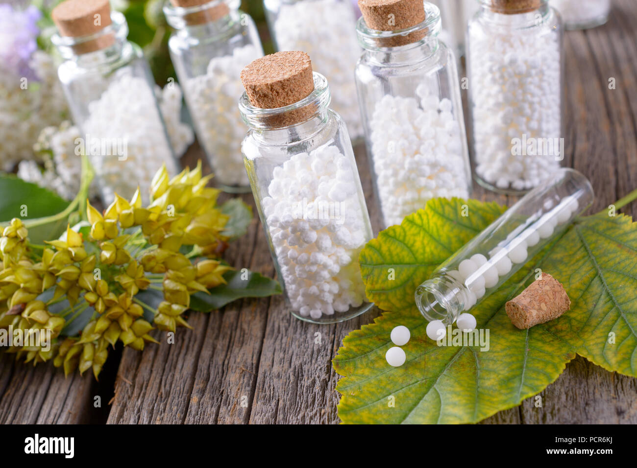 Homeopathic lactose sugar globules in glass bottles with plants Stock ...