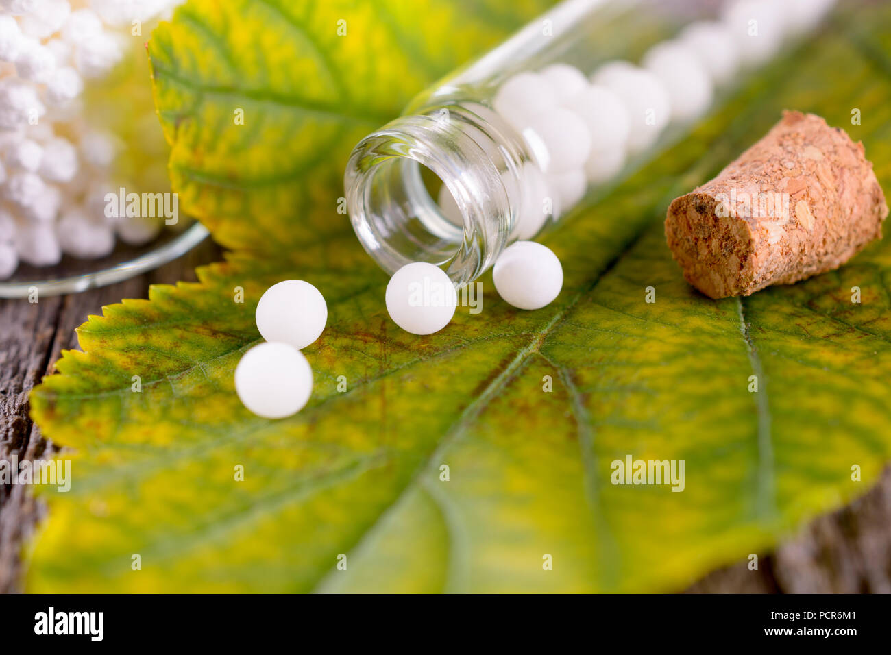 Homeopathic lactose sugar globules on leaf with glass bottle Stock ...