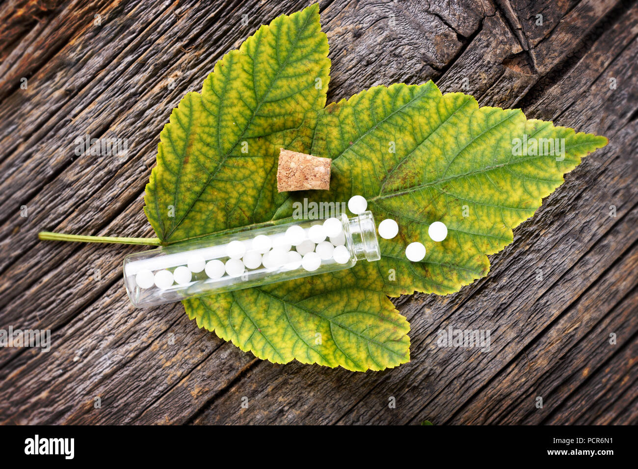 Homeopathic lactose sugar globules on leaf with glass bottle Stock ...