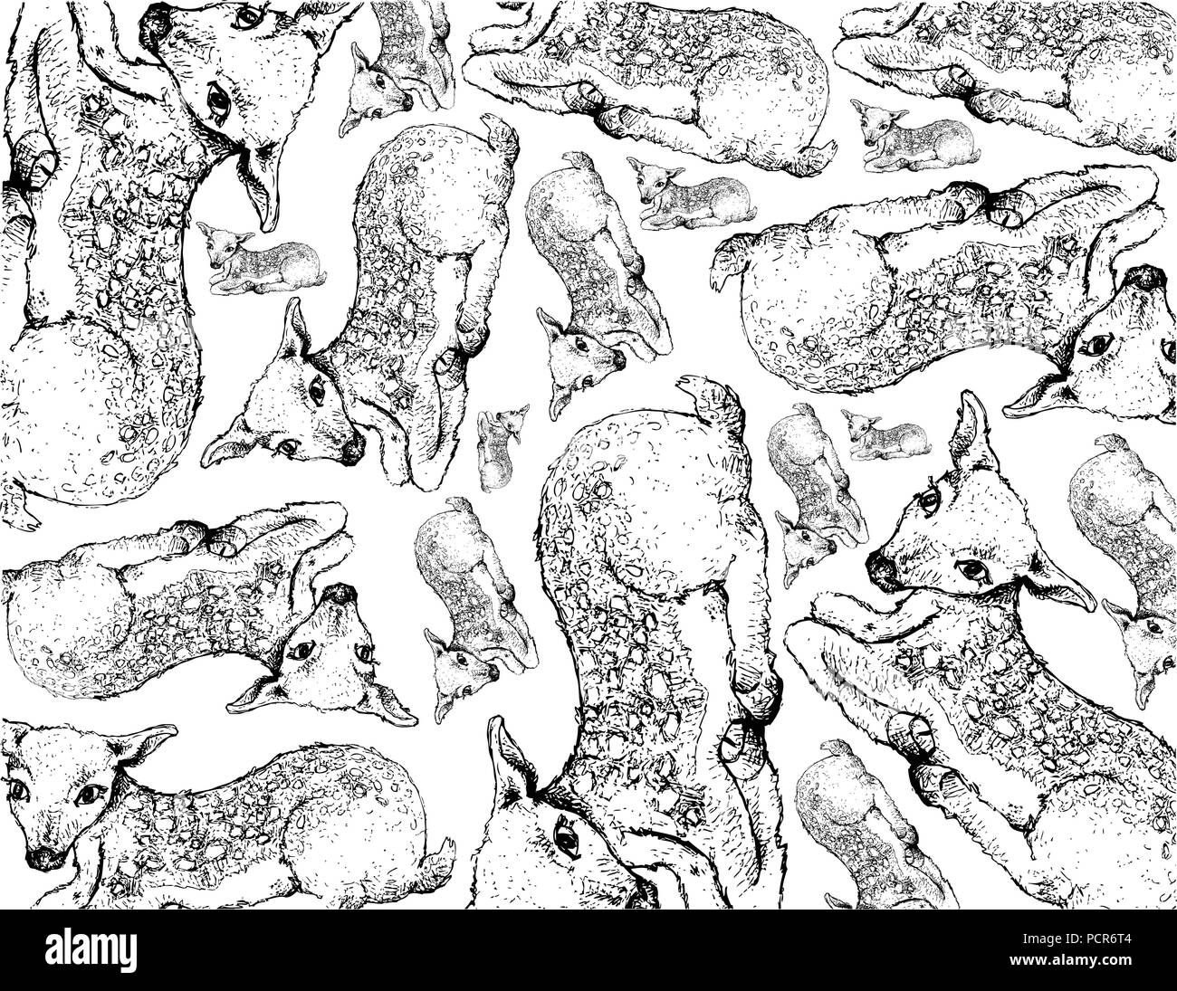 Whitetail spotted fawn Black and White Stock Photos & Images - Alamy