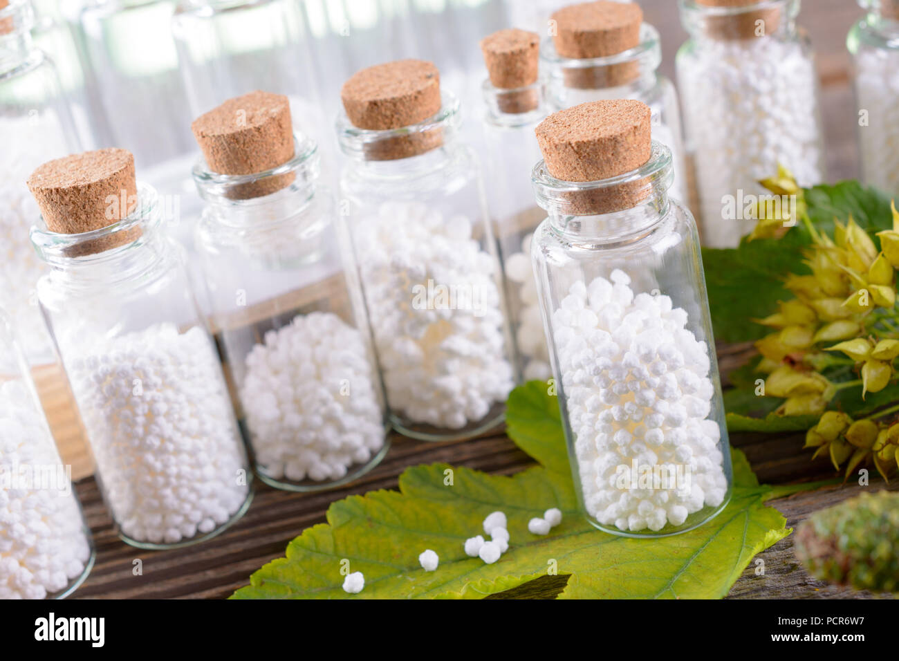 Homeopathic lactose sugar globules in glass bottles with plants Stock ...