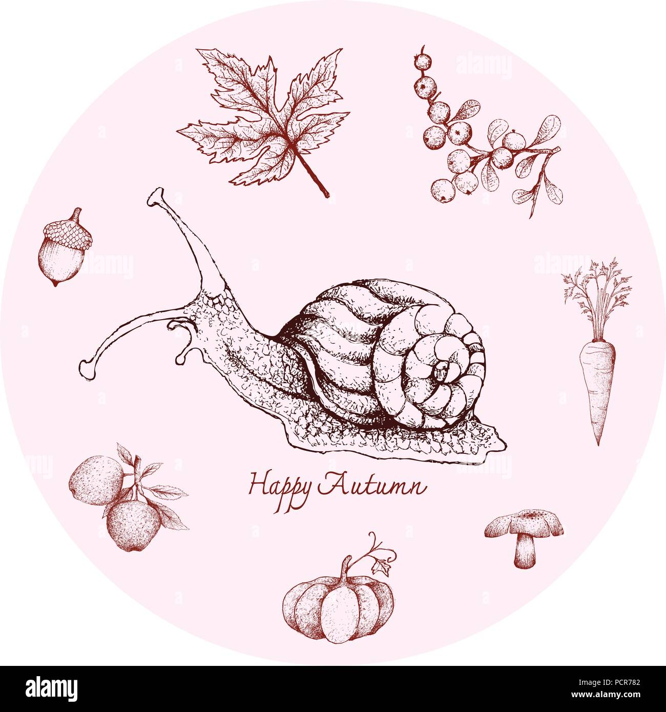 Autumn Animal, Illustration Hand Drawn of Snail with Berries, Apple ...