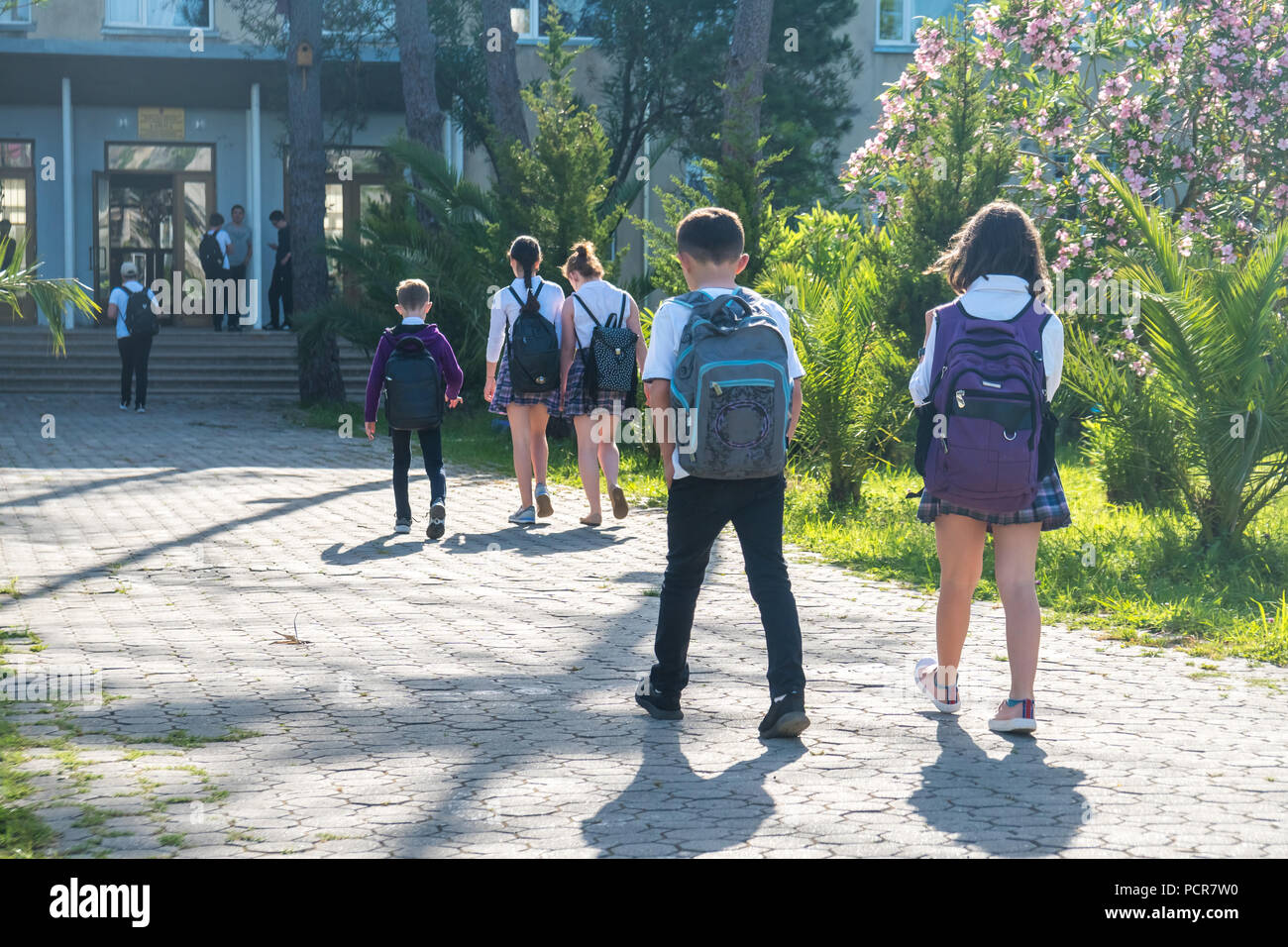 Group of kids going to school, education Stock Photo - Alamy