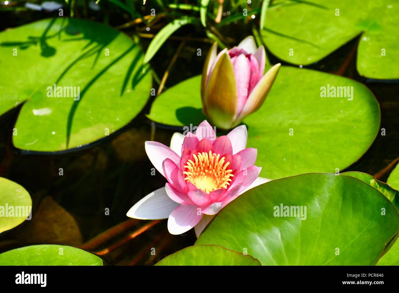 Waster water hi-res stock photography and images - Alamy