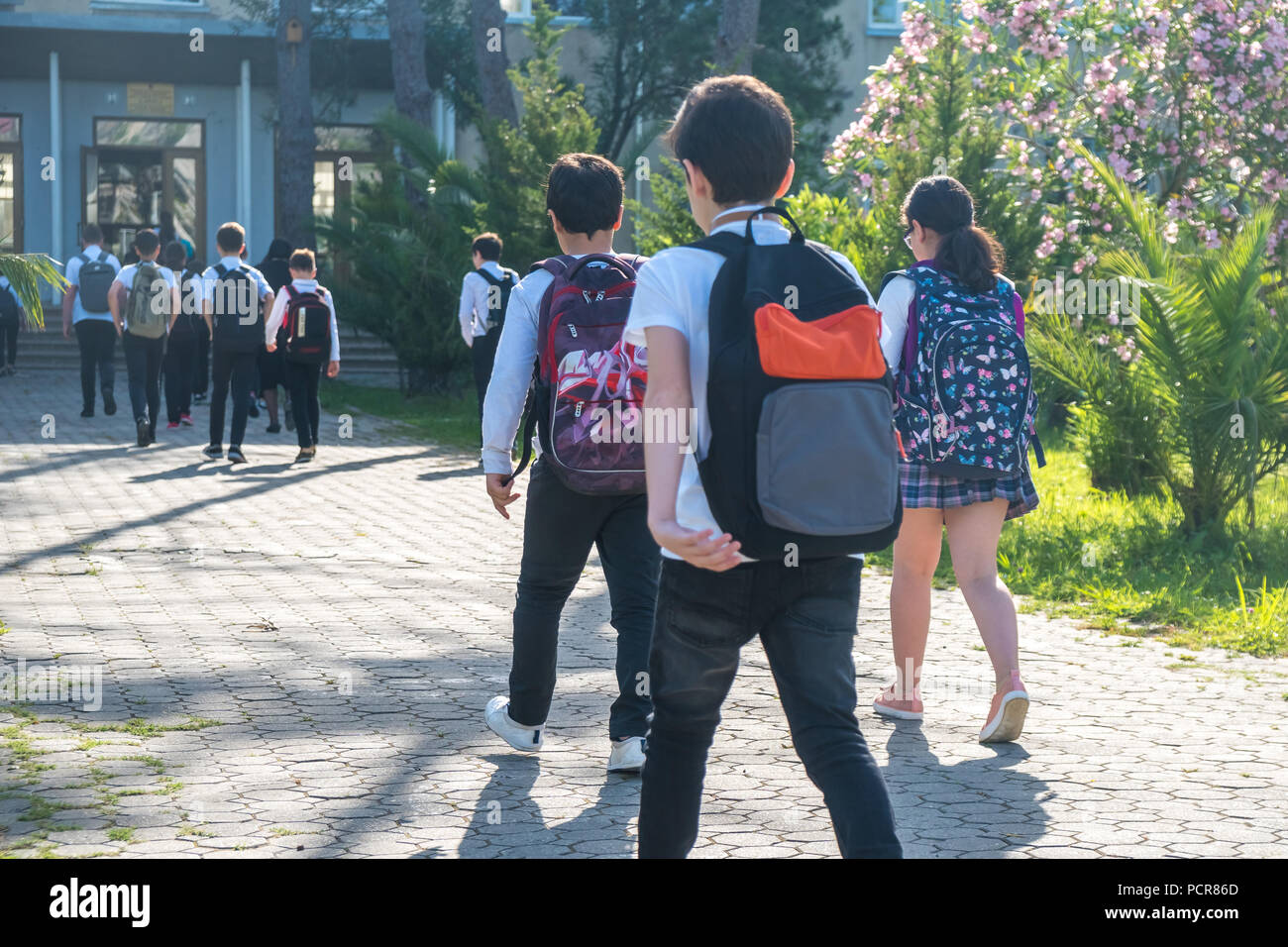 Group of kids going to school, education Stock Photo - Alamy