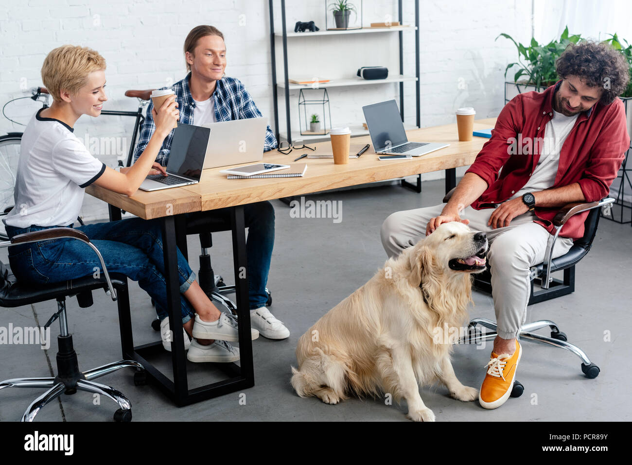 smiling young people looking at colleague stroking dog in office Stock ...