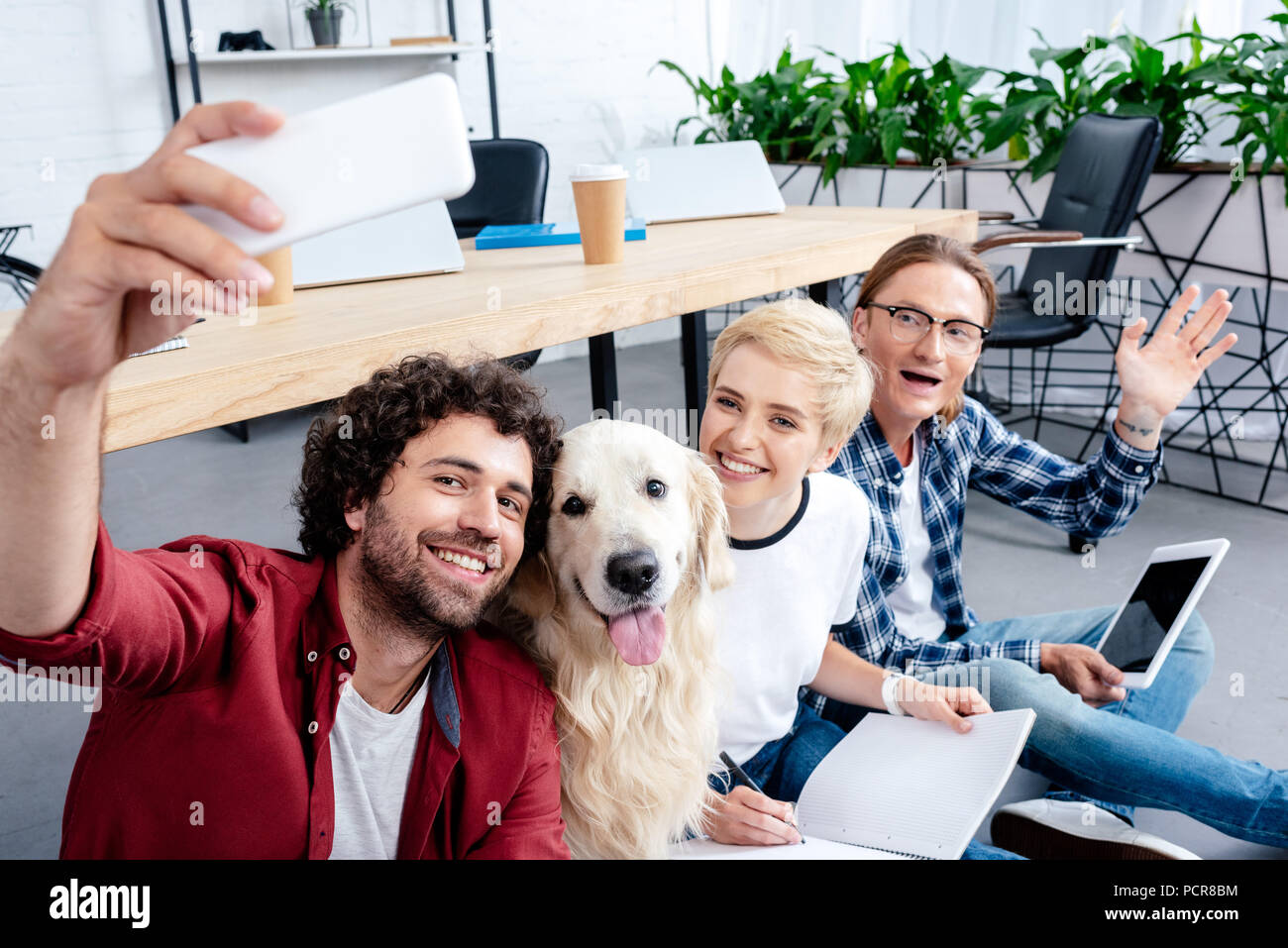 Labrador in modern workspace hi-res stock photography and images - Alamy