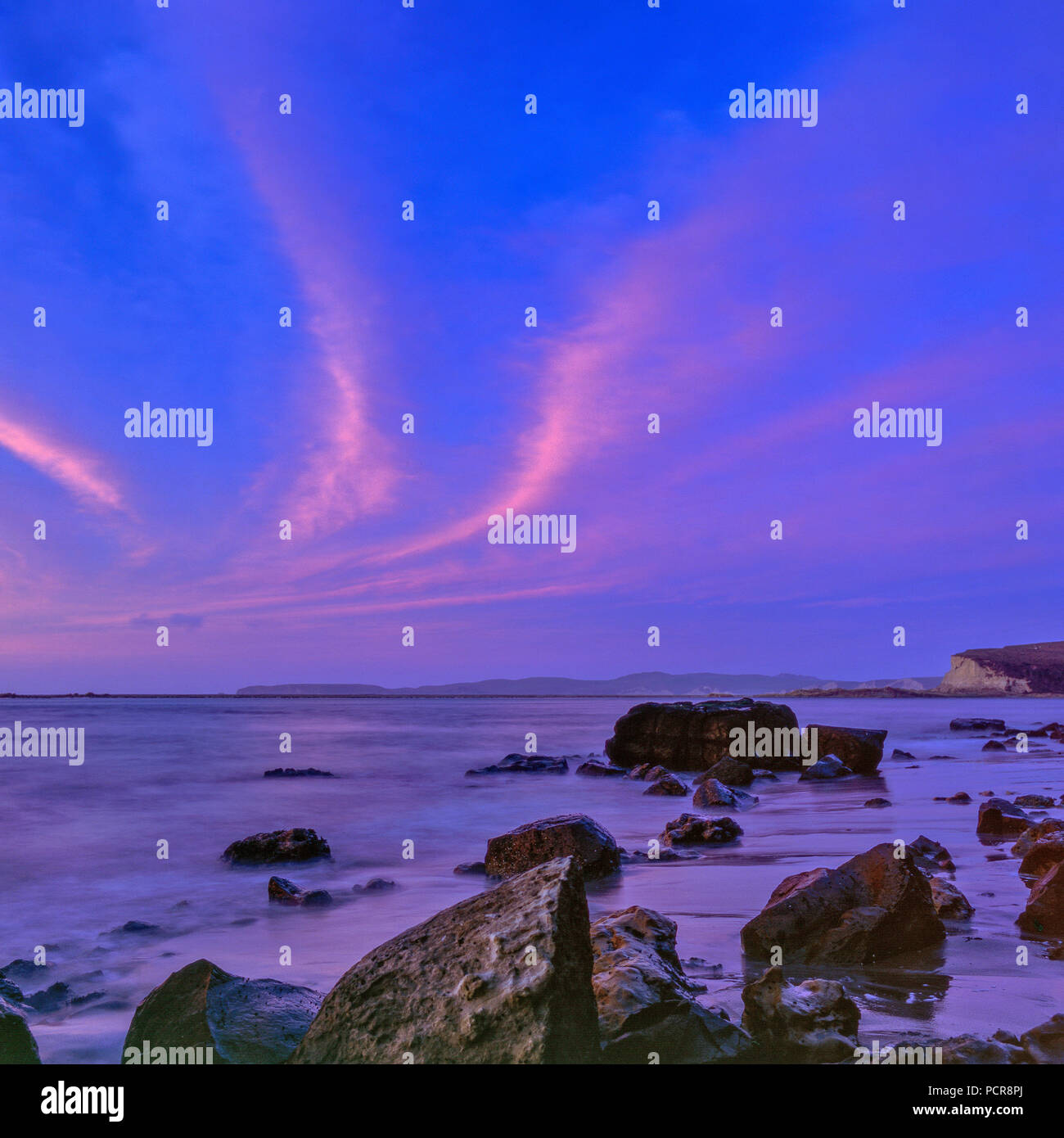 Drakes head hi-res stock photography and images - Alamy