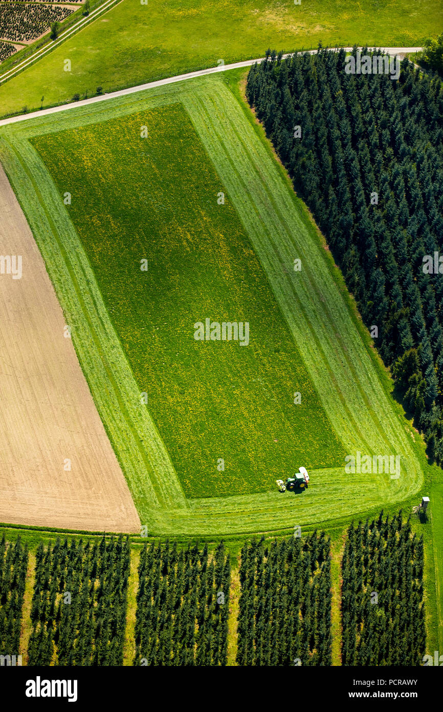 Farmer during haymaking on a rectangular field hi-res stock photography ...