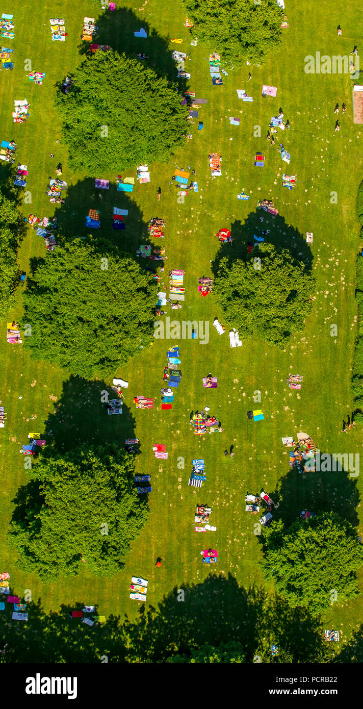 Sunbathing area with shady trees hi-res stock photography and images ...