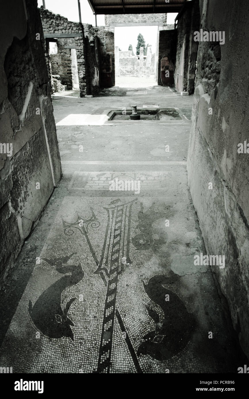 Floor Mosaic Pompeii High Resolution Stock Photography and Images - Alamy