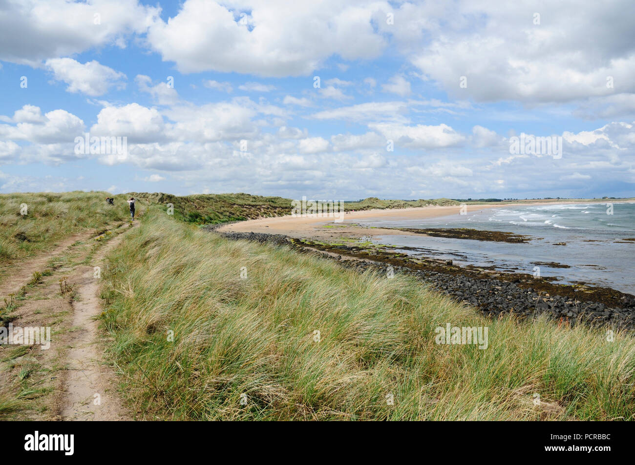 Coast of northumbria hi-res stock photography and images - Alamy