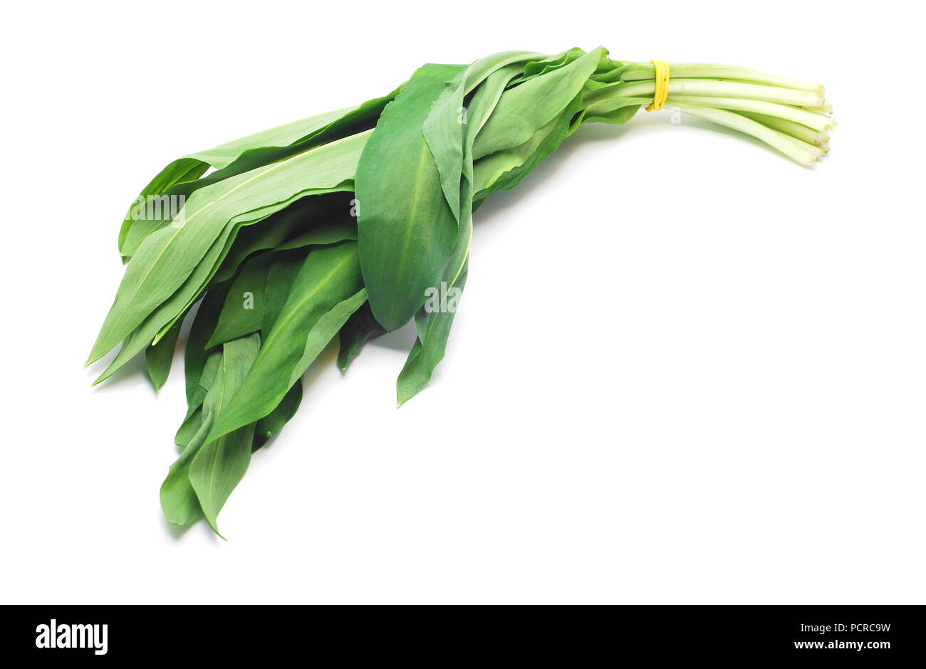 ramsons leaves isolated on white Stock Photo - Alamy