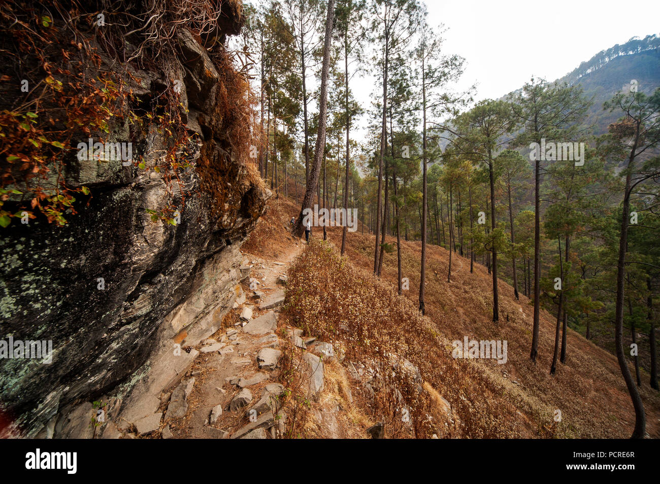 Valey near where Jim Corbett shot the Chowgarh maneating tigress around ...