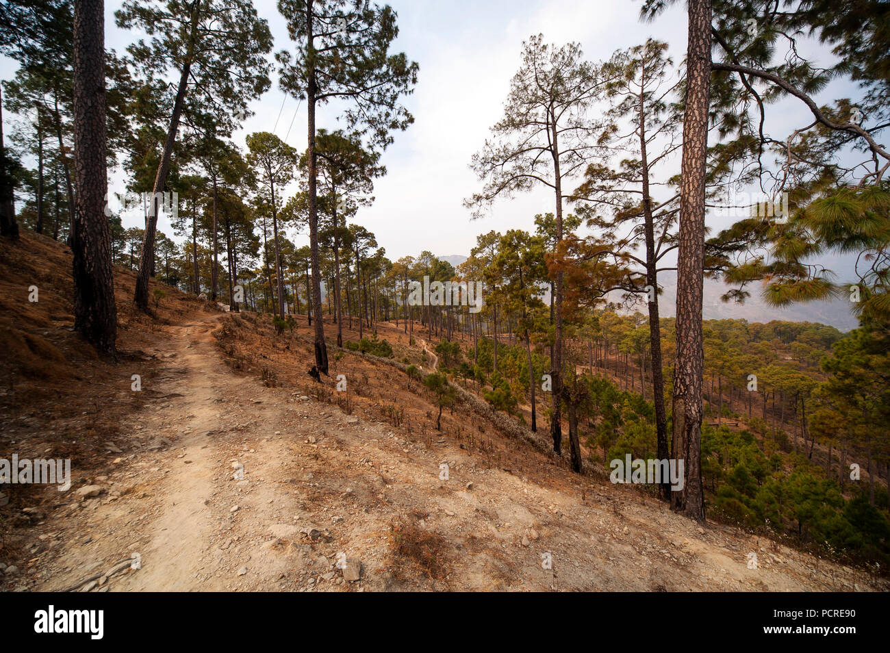 On the right is the valley where Jim Corbett shot the Chowgarh ...