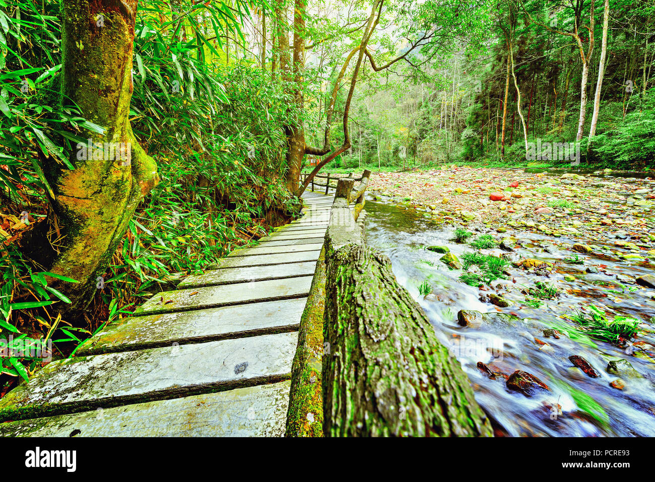Touristic path by the river in Zhangjiajie Forest Park. China Stock ...
