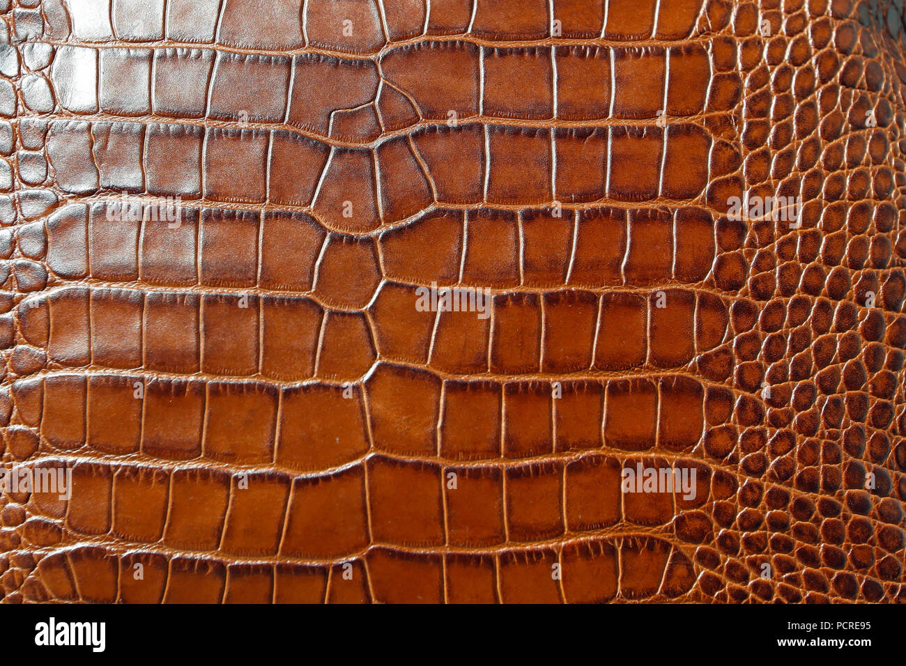 Alligator leather hi-res stock photography and images - Alamy